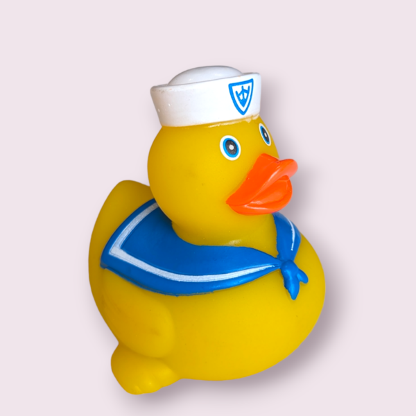 Sailor Duck - HotSpring World